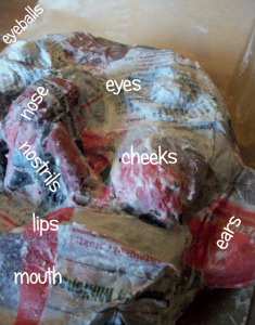 Creepy Caricatures: a DIY 3D papier mache portrait tutorial by Sheri ...